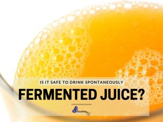 What Are Fermented Drinks? | Nourishing Time
